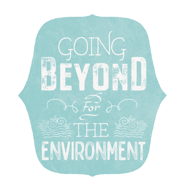 Going Beyond - Beyond Travel